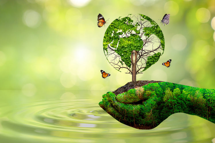 1ness.in – 1NESS - Come Together.